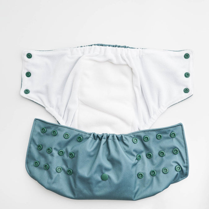 Washable Reusable Potty Training Pant with Absorbent Inner Layers ...